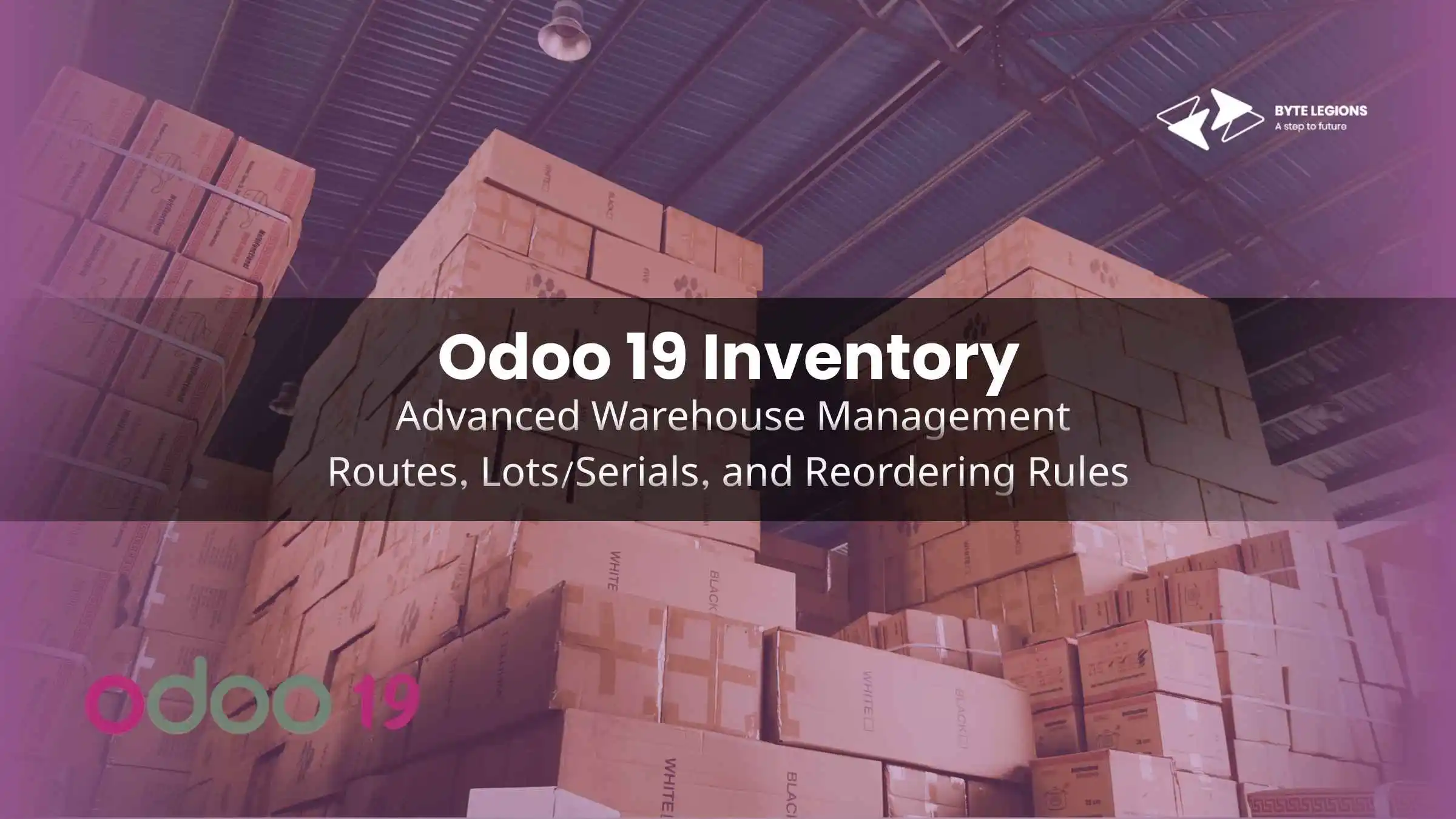 Odoo 19 Inventory: Advanced Warehouse Management Features